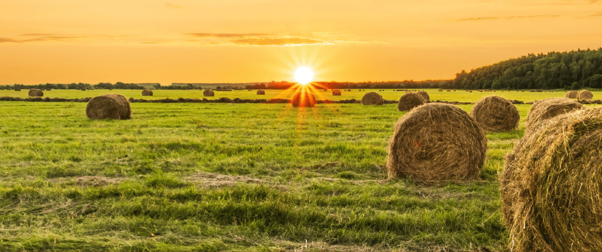 Home - Stichting Onderzoek voor het Platteland